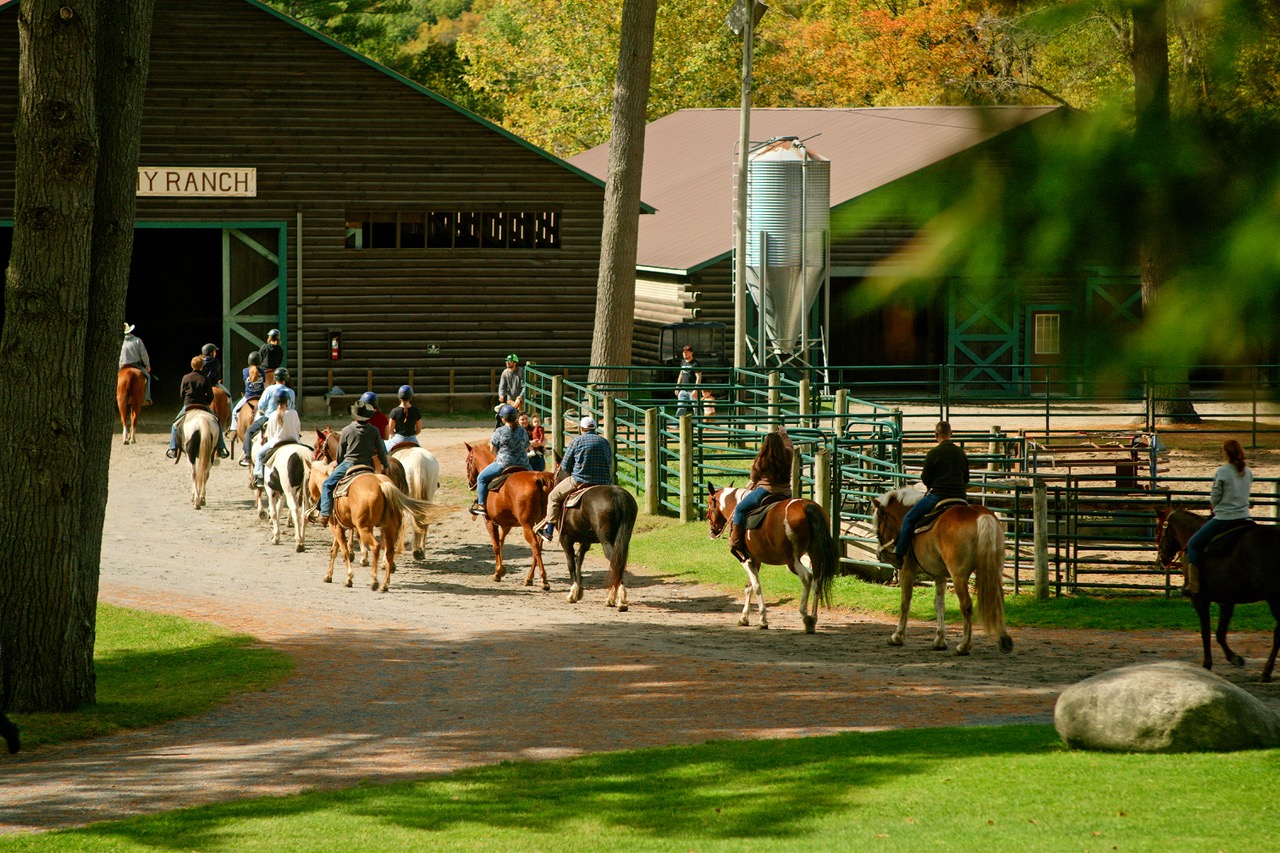Horse Back Riding Lessons and Guided Trail Riding - Ridin-Hy Ranch Resort
