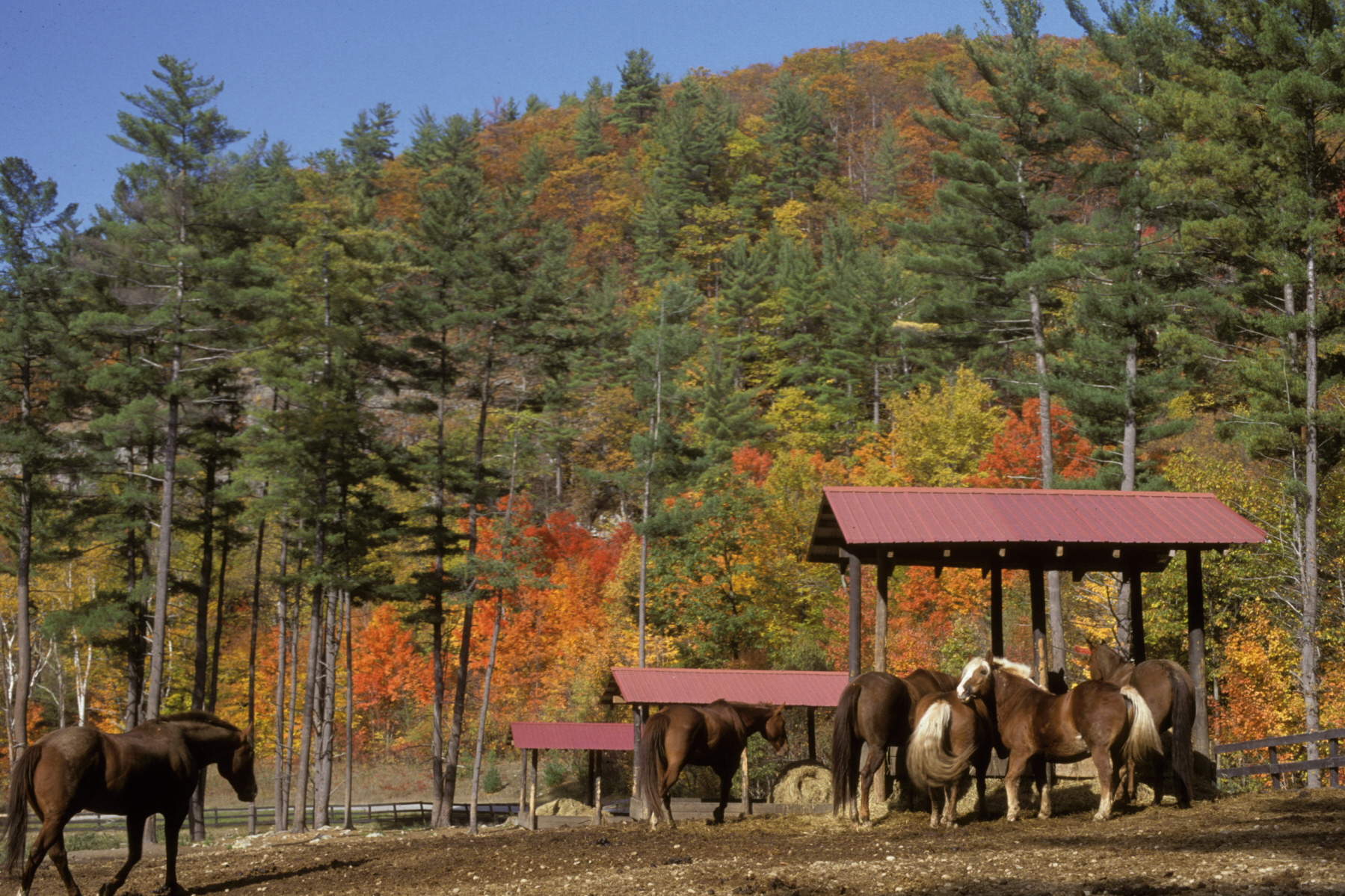 Fall Specials & Events - Ridin-Hy Ranch Resort
